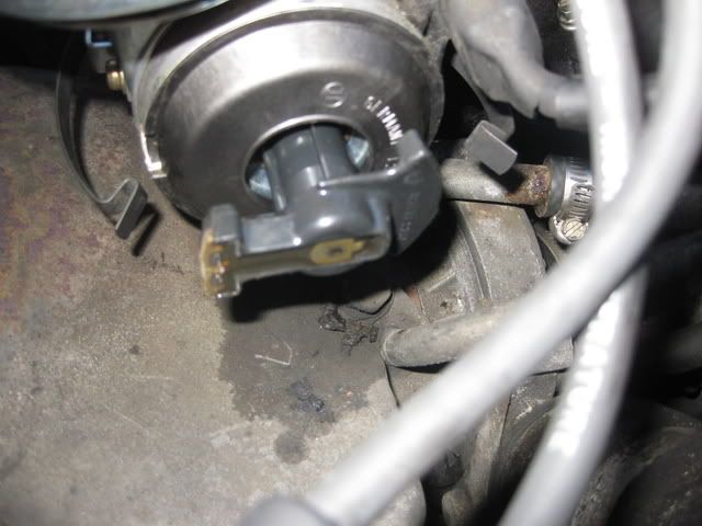 Distributor cap and firing order.. | SaabCentral Forums